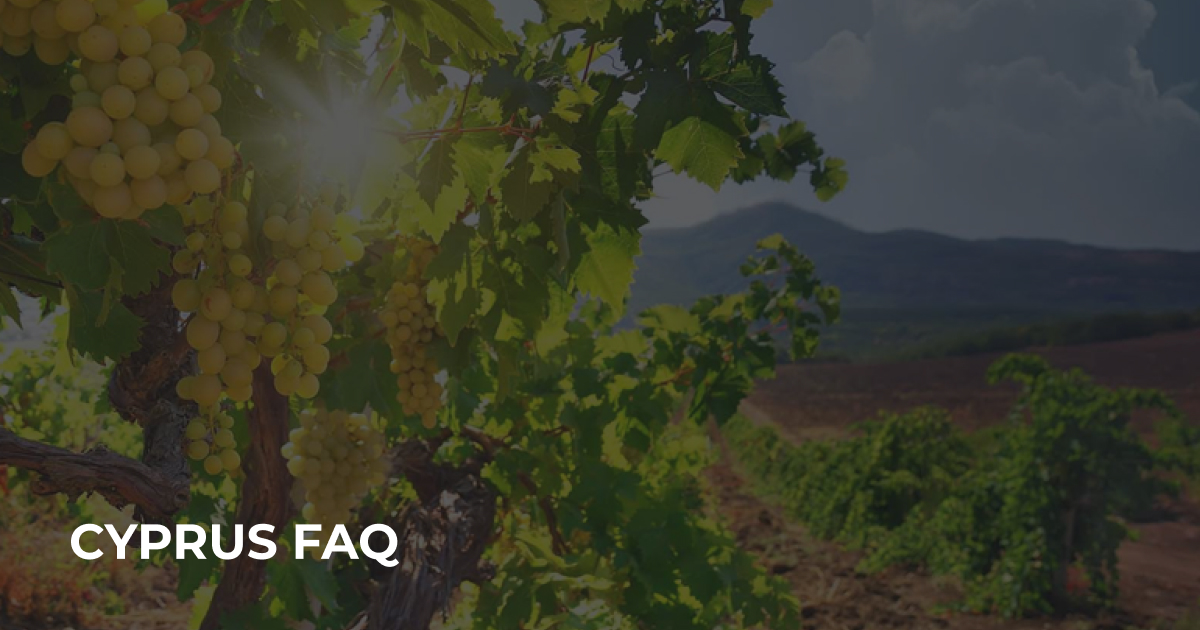 Cyprus Wineries | CYPRUS FAQ